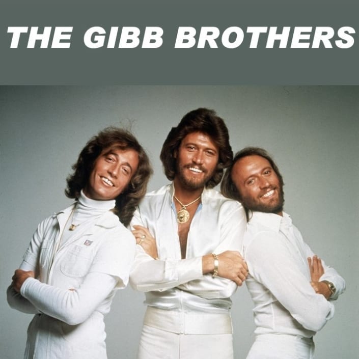The Bee Gees + Andy Gibb - The Gibb Brothers (2020) DVD