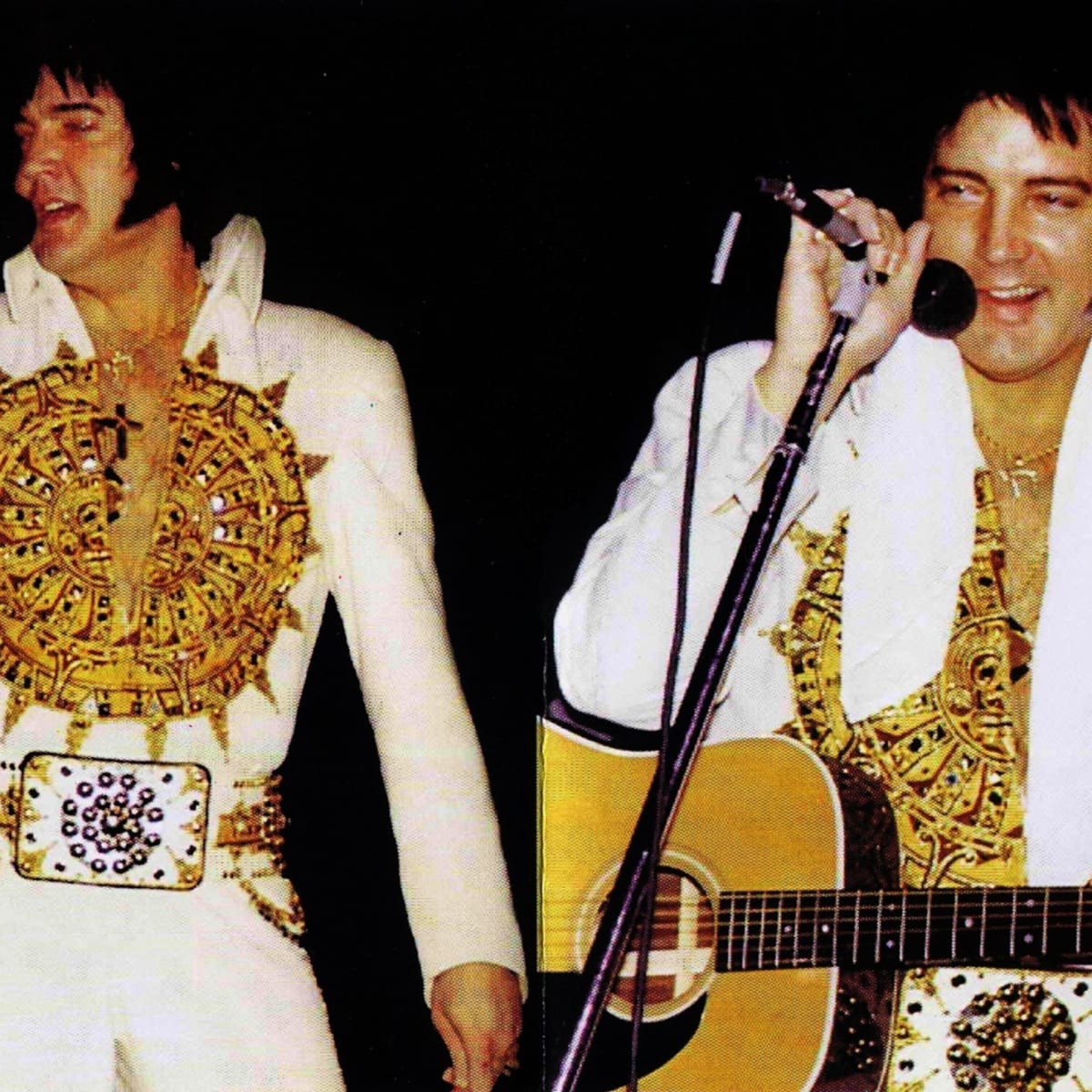 Elvis Presley - The Final Farewell (June 26, 1977) (2008) 2 CD SET